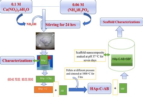 Flow Chart For The Production Of Hap C Ab Composite And Its Biological Download Scientific