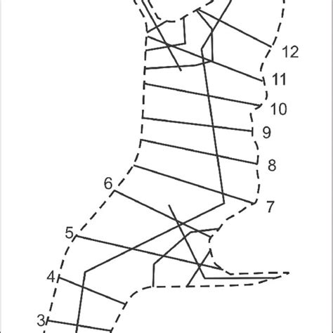 Location Of Bathymetric Profiles Used For Morphological Interpretation