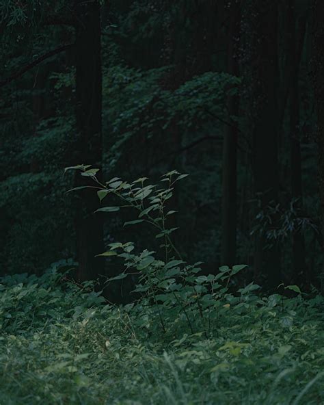 大林 直行 On Twitter おひか Jeaui7lvh0 Nza0icvszj