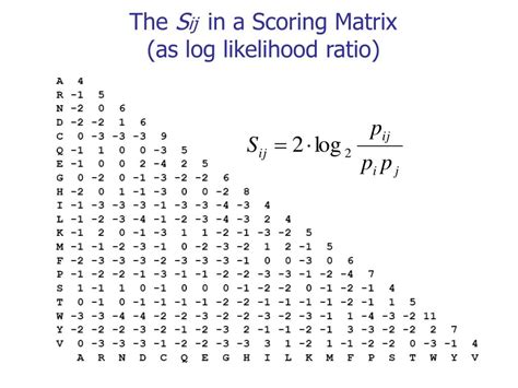 Ppt Scoring Matrices Powerpoint Presentation Free Download Id149987