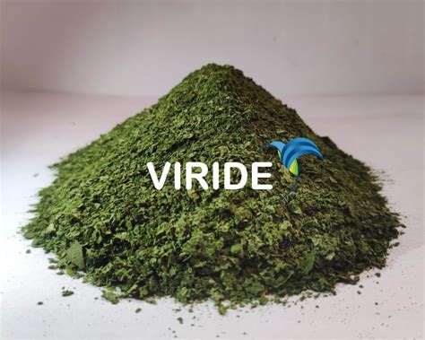 For All Algae Producers Gentle Processing Is Key In Harvesting And