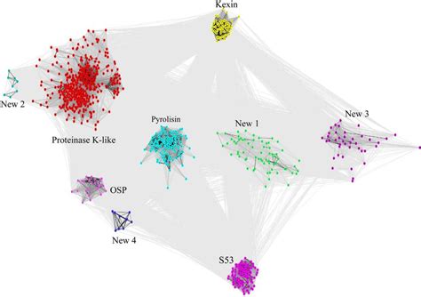 Clans Clustering Of 993 Subtilase Sequences Obtained From 83 Whole