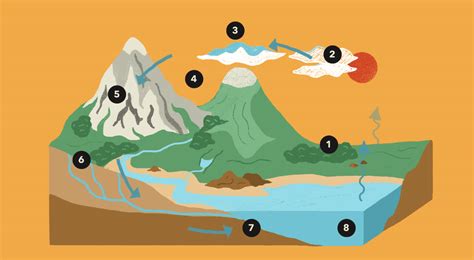 Water Cycle Picture  At Christine Scheerer Blog