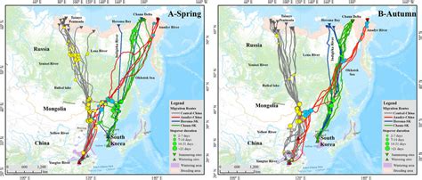 Distribution Of Migration Routes And Stopover Sites Of Three