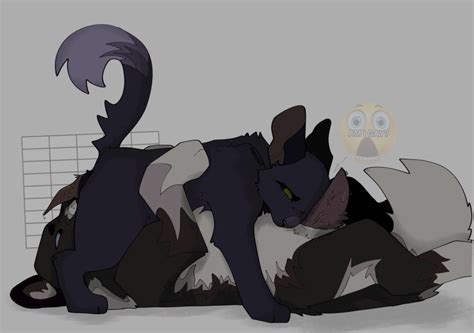 Rule 34 69 Position Animal Genitalia Barley Warriors Feline Feral