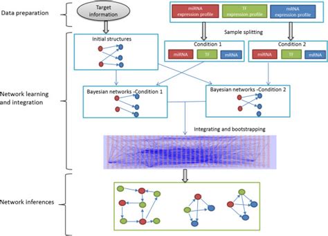 Method Overview The Method Utilises Bayesian Network Learning And
