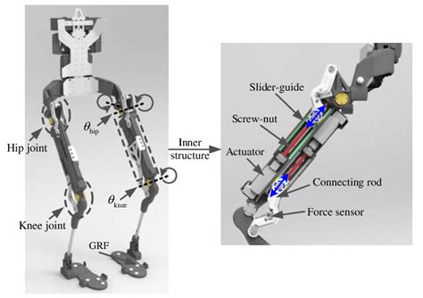 The Schematic Diagram Of The Electricity Powered Lower Limb Exoskeleton
