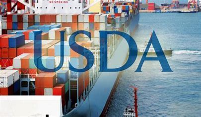 Usda Export Sales Soy And Wheat Lead The Way Paradigm Futures