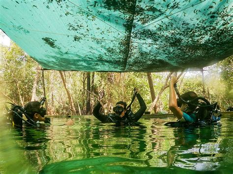 Instructor Development Course Technical Sidemount Diving India