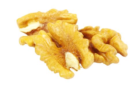 Gambar Latar Belakang Kenari Png Vektor Psd Dan Clipart Dengan Background Transparan Untuk