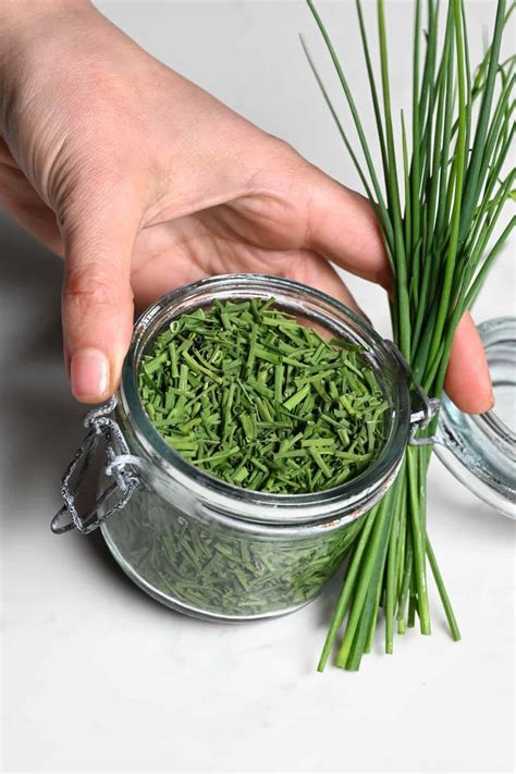 How To Dry Chives Alphafoodie