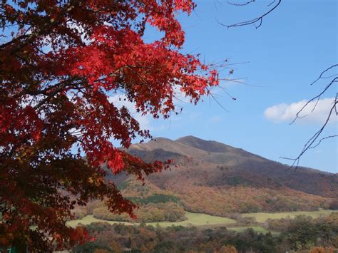 山へ行く！ ～絶景を求めて～ 蒜山三座
