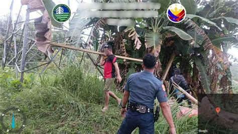 104 7 Ilegal Na Troso Narekober Sa Bayan Ng Roxas Palawan Pcsd