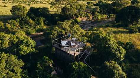 Life Lessons From The Heart Of The Masai Mara Ishara A Luxury