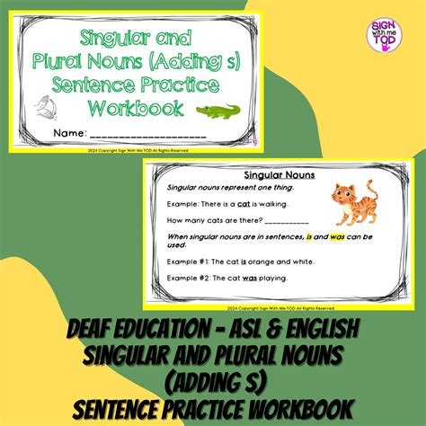 Deaf Education Asl And English Singular And Plural Nouns Sentence