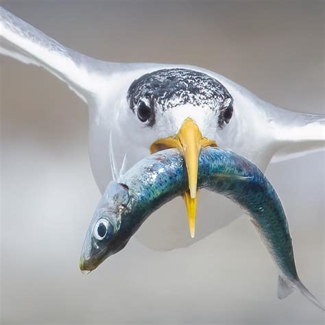 Slow Sex De Quoi Sagit Il Exactement