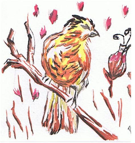 Passion Bird By Skate8destroy On Deviantart