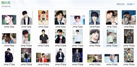 Openface人脸识别框架 疯狂的小萝卜头 博客园