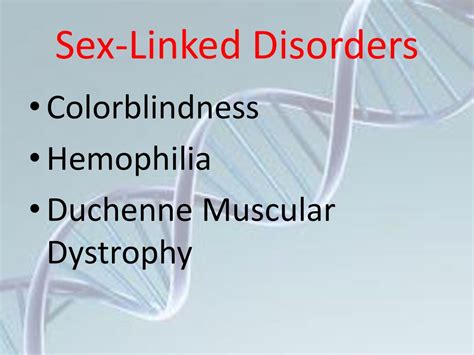 The Human Genome Chapter Ppt Download