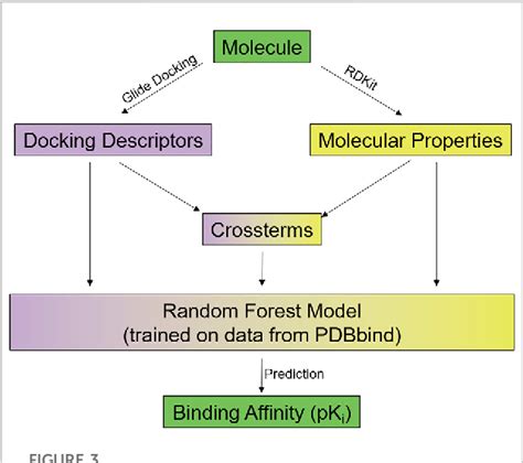 Figure 1 From Optimizing Interactions To Protein Binding Sites By Integrating Docking Scoring