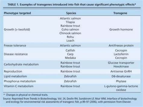Transgenic Fish Bird By Kk Sahu Ppt