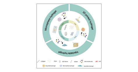 Biological Functions Of Macromolecular Protein Hydrogels In