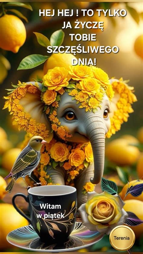 Pin Van Malgorzata Tomczyk Op Dzień Dobry In 2025