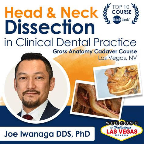 Head And Neck Dissection In Clinical Dental Practice Cadaver Lab