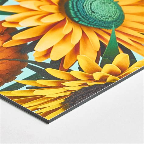 Printing Dibond Photo On Dibond