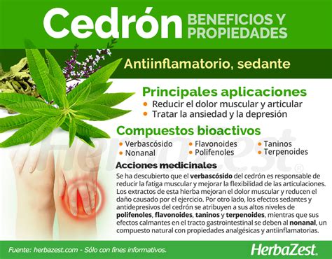 Cedrón Herbazest