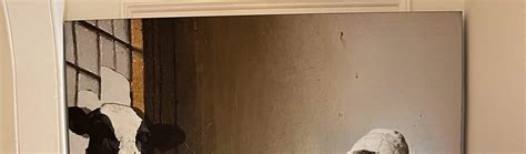 Rtxp Art Experience Ticket In Amsterdam Klook Philippines