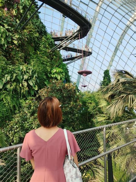 Linkedin Hui Ping Foo 페이지 태양의후예 太陽の末裔 太阳的后裔 Gardensbythebaysingapore Huipingfoo Foohuiping