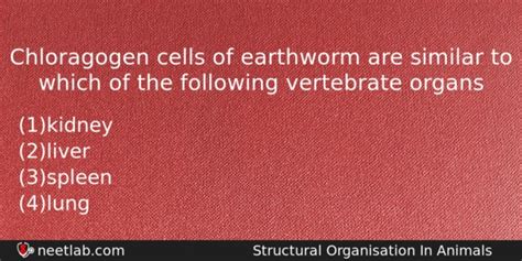 Chloragogen Cells Of Earthworm Are Similar To Which Of The Following Vertebrate Neetlab