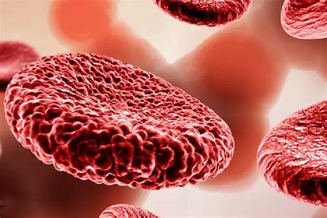 مراقب باشید این داروها و خوراکی‌ها پلاکت خون را کاهش می‌دهند