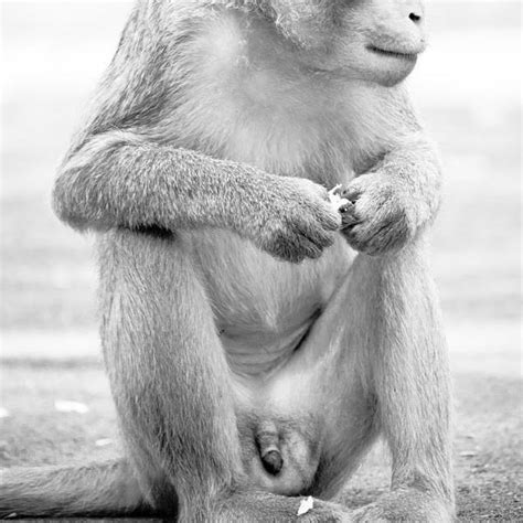 Bryan Berumen Youtube