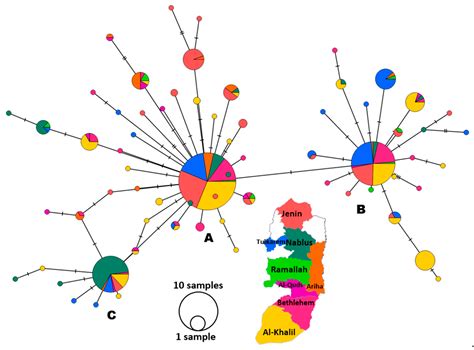 Pathogens Free Full Text Epidemiological Characterization And