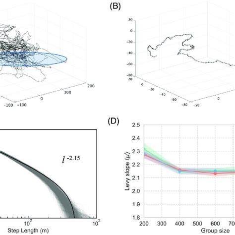 Lévy Walk On The Center Of Mass Reference Frame A Sample