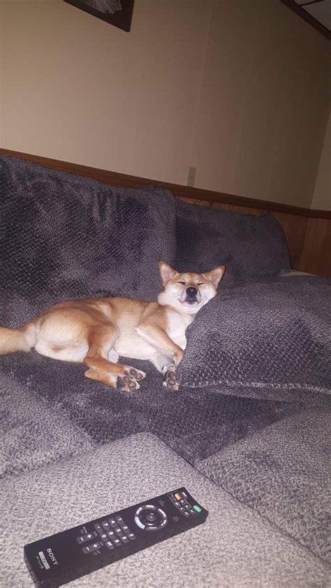 Amber Roach Amberroach9 Twitter