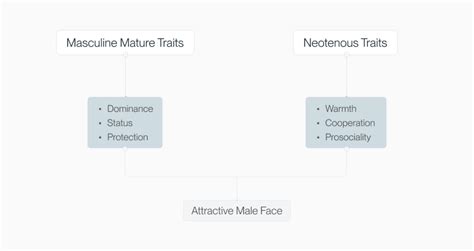Facial Neoteny An Evidence Based Guide