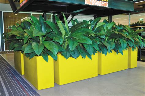 Urban 10 Planter Rectangular Planters Office Plants