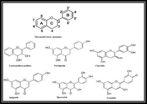 Importance Of Flavonoid As Secondary Metabolites Intechopen