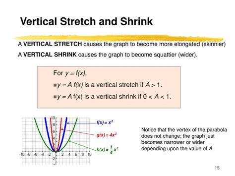 Mastering Stretching And Shrinking The Ultimate Answer Key Revealed
