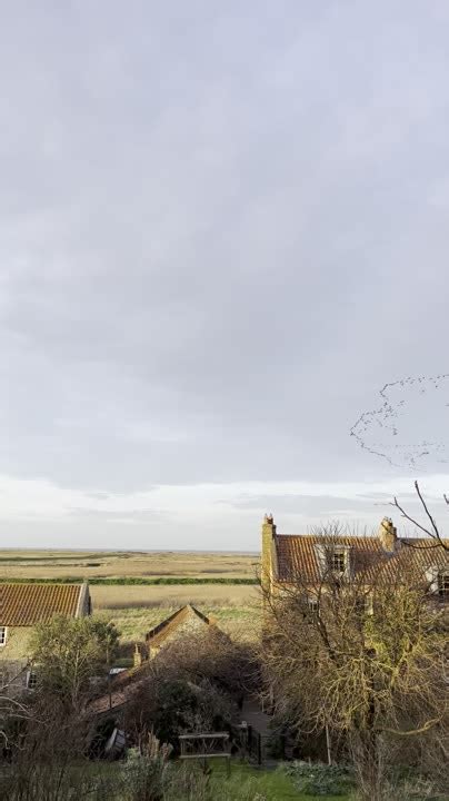 Ben Rivett On Linkedin For All Those Busily Buzzing Around I Hope You Enjoy This Calming View…