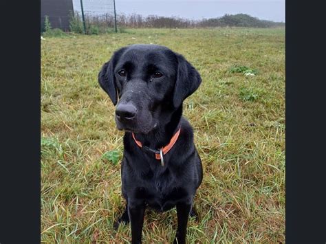 I Am Proud To Say That After 2 Days Of Evaluation By West Midlands Police And With Great Relief