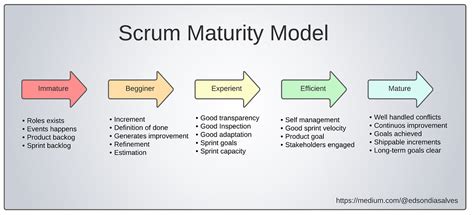 Agile Scrum Maturity Model