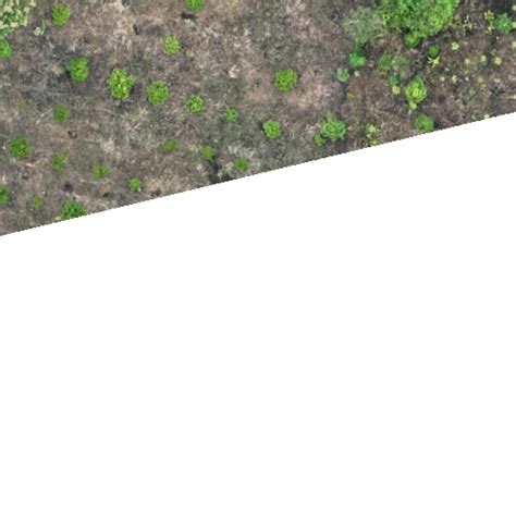 Merge Instance Segmentation Model By Project Tugas Akhir