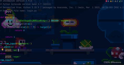 python逆向之实战分析_python uncompyle6-CSDN博客