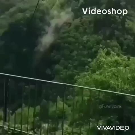 Lifecycle Hassan Najafzadeh