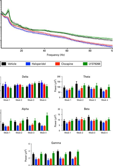 Average Spectral Power From Electrocorticogram Ecog Of Rats