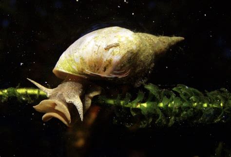 What Is Dna Understanding The Blueprint Of Life